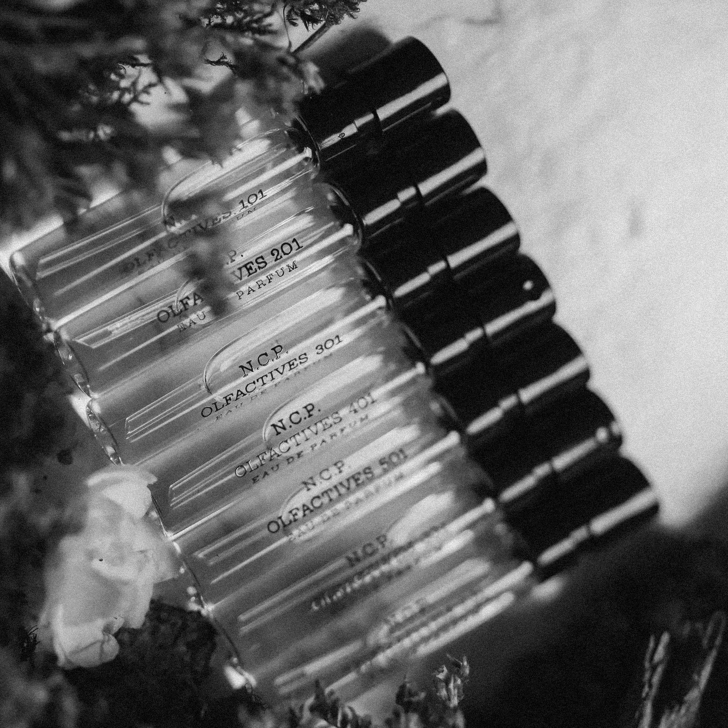 Unisex layering perfumes & skincare - N.C.P.